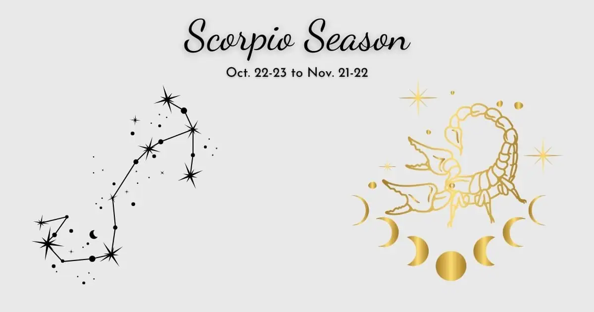 20 Fun Scorpio Zodiac Sign Facts: Traits, History and Symbols - Quest ...