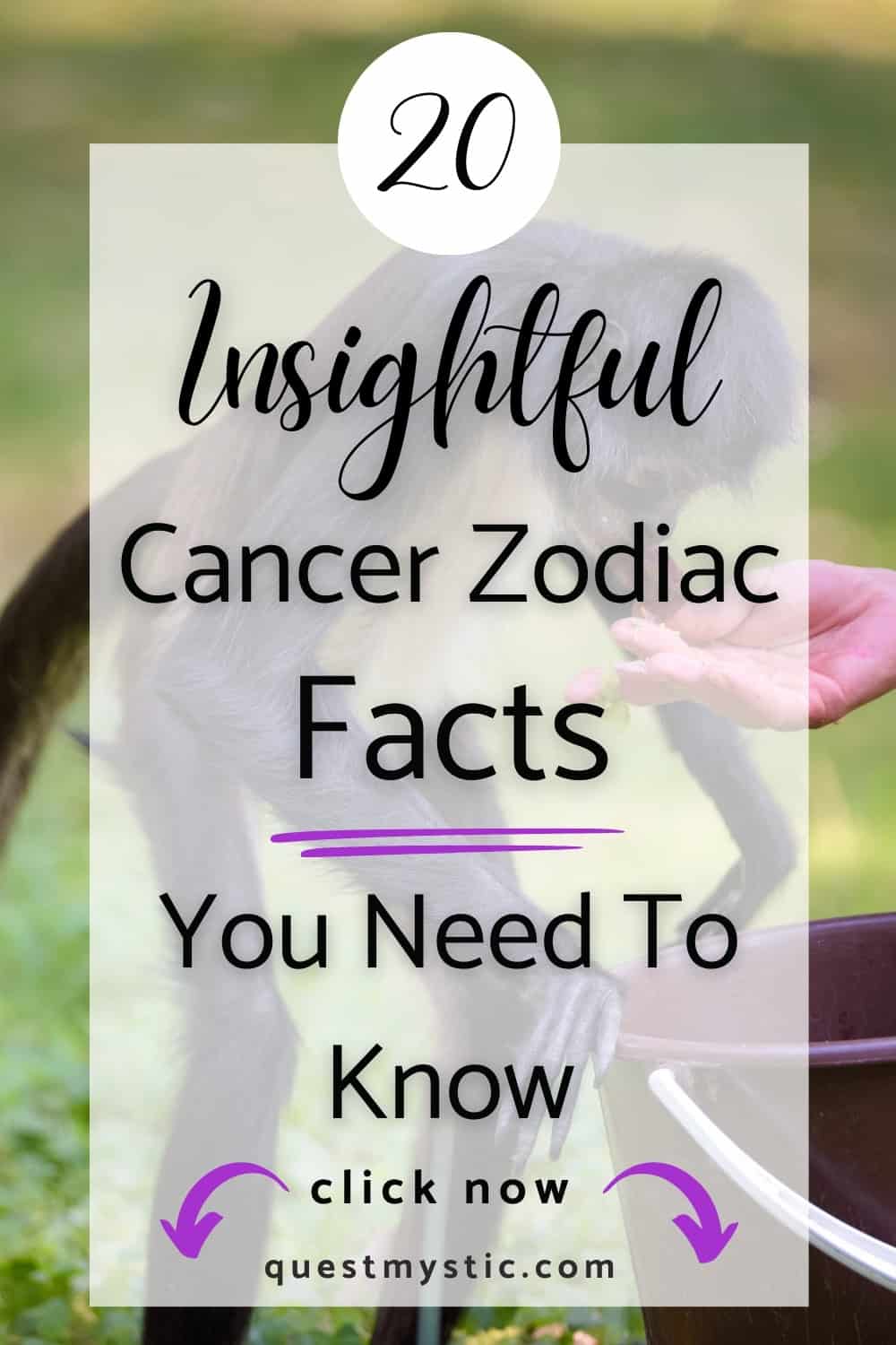 20 Fun Cancer Zodiac Sign Facts: Constellation, Animal and Traits ...