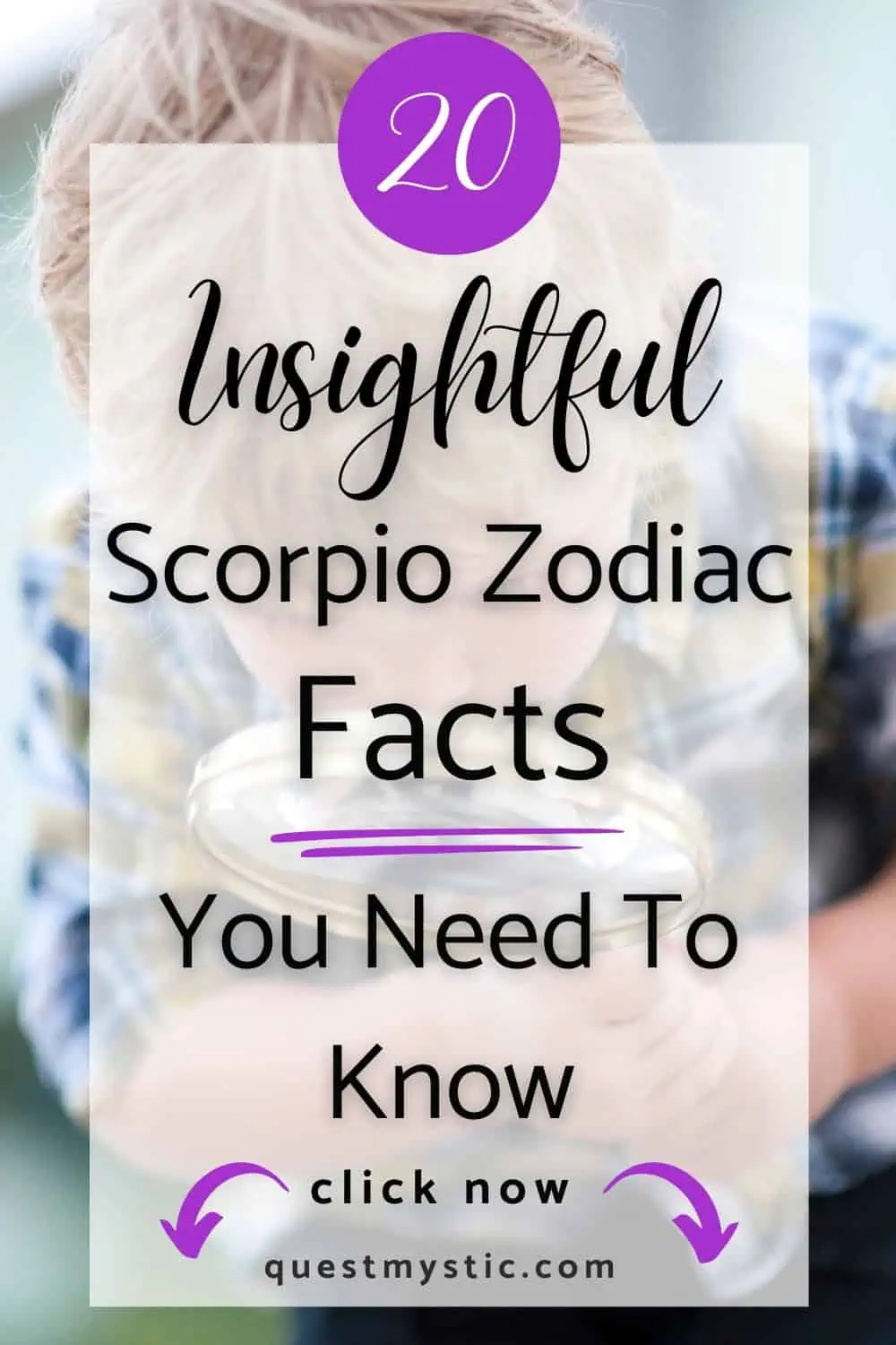 20 Fun Scorpio Zodiac Sign Facts: Traits, History and Symbols - Quest ...
